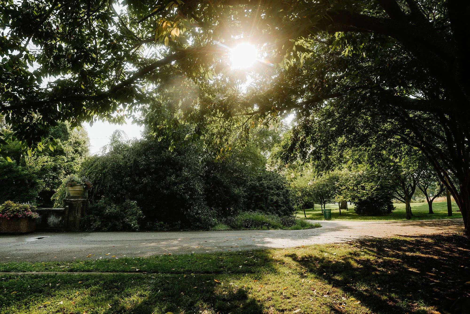 Park Survey | Centennial Park Conservancy