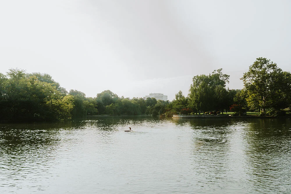 About Centennial Park | Centennial Park Conservancy