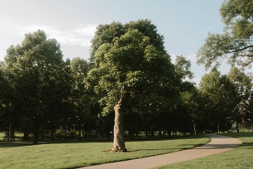 About Centennial Park | Centennial Park Conservancy