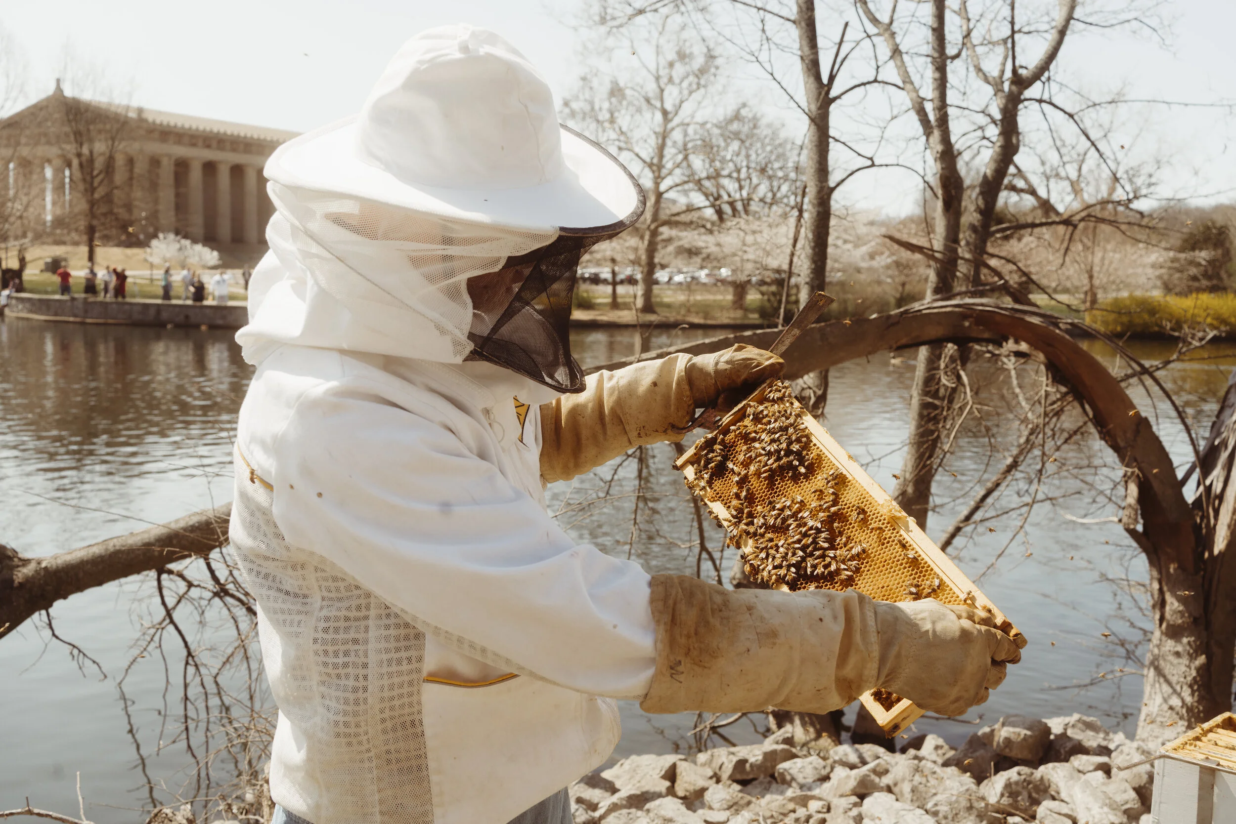 About Centennial Park - Centennial Park Conservancy
