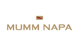 Origin Agency | The Wellspring of Creativity