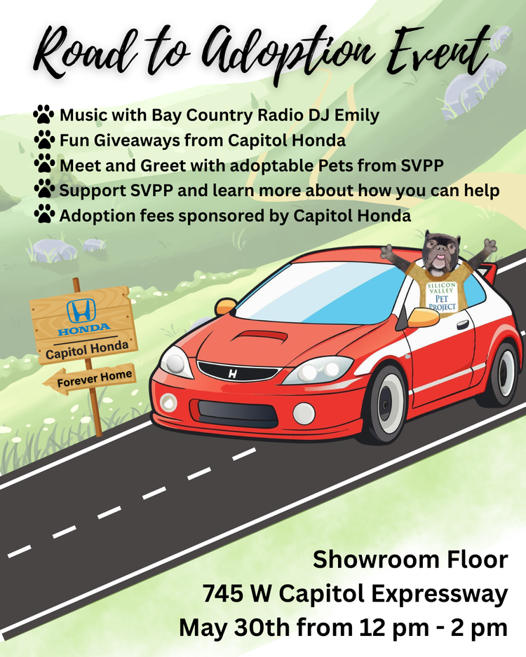 Special Adoption Event @ Capitol Honda — Silicon Valley Pet Project