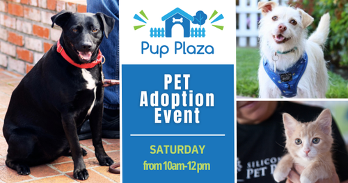 Pet Adoption Event — Silicon Valley Pet Project