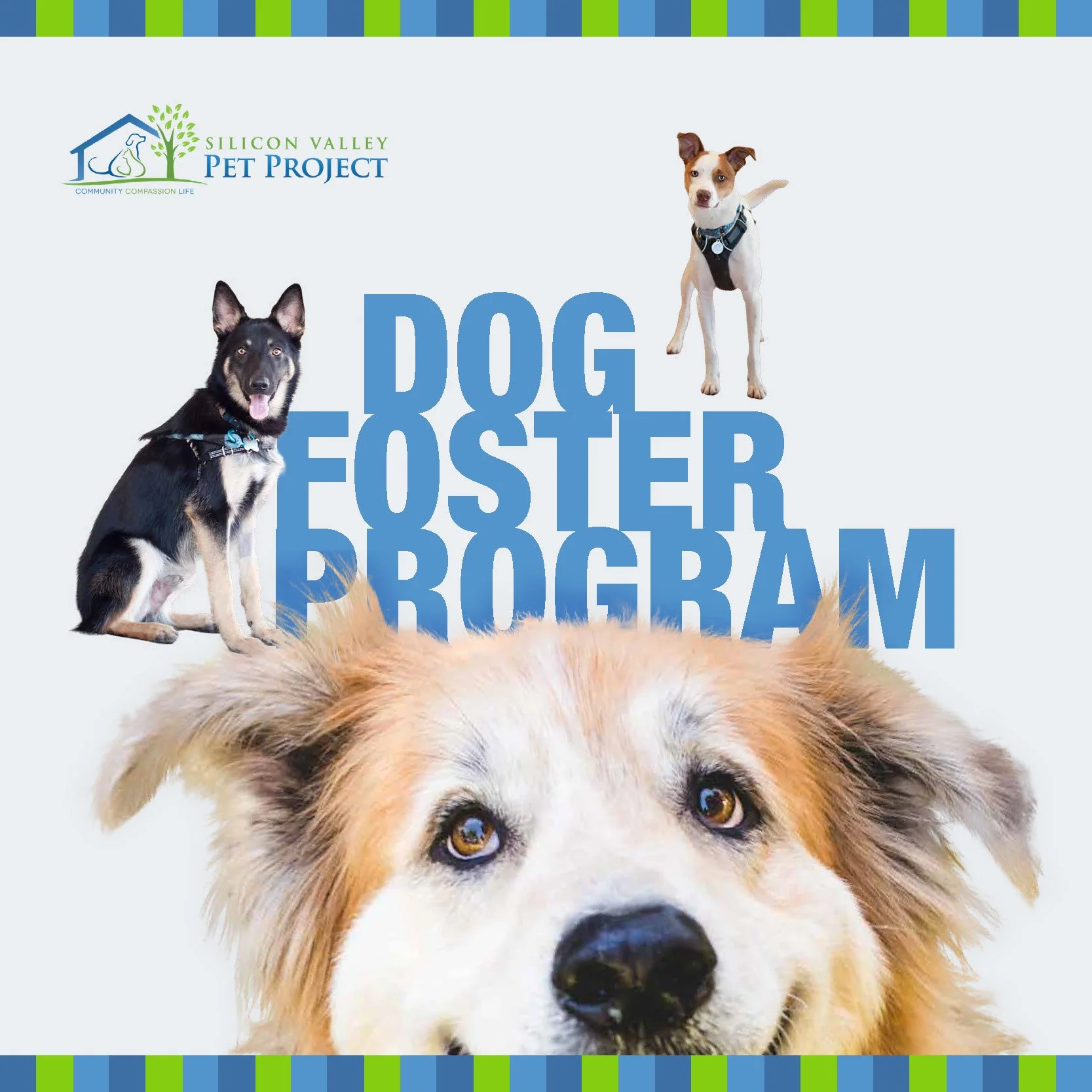 Dog Foster Program — Silicon Valley Pet Project