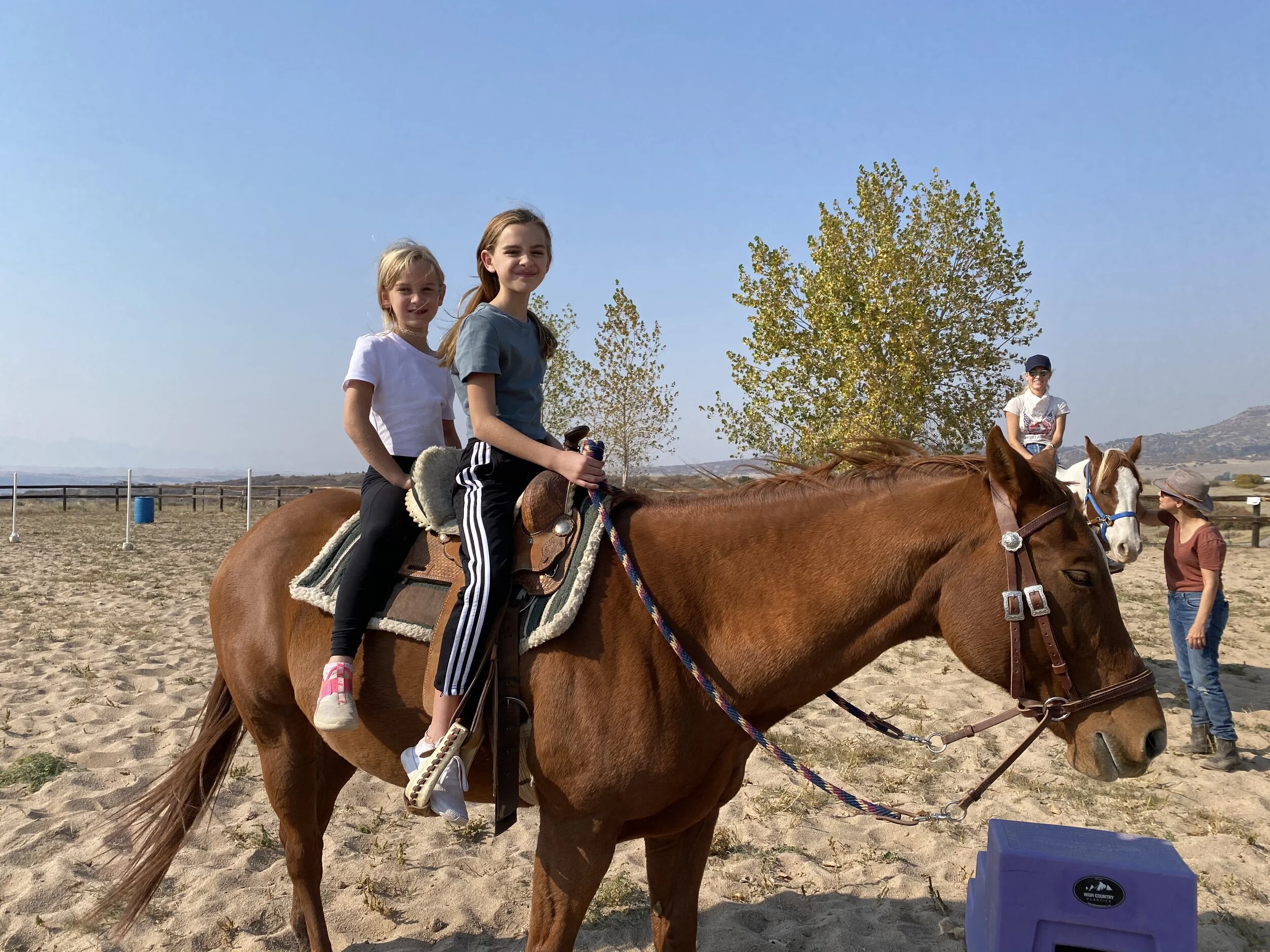 The Mane Mission | Experience Healing Today