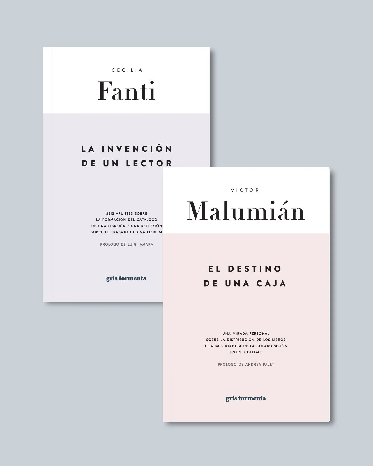 Estuche con cuatro libros de la colección Editor — Gris Tormenta