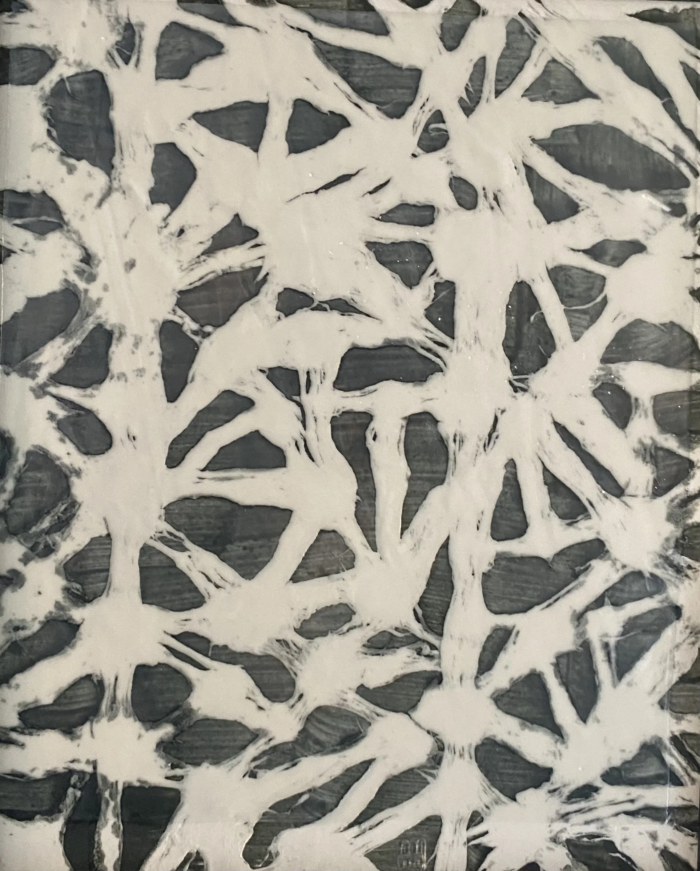 Gallery — The Medical Art Society