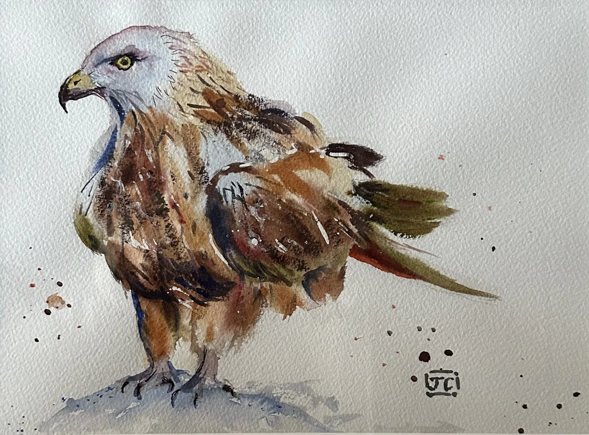 Gallery — The Medical Art Society