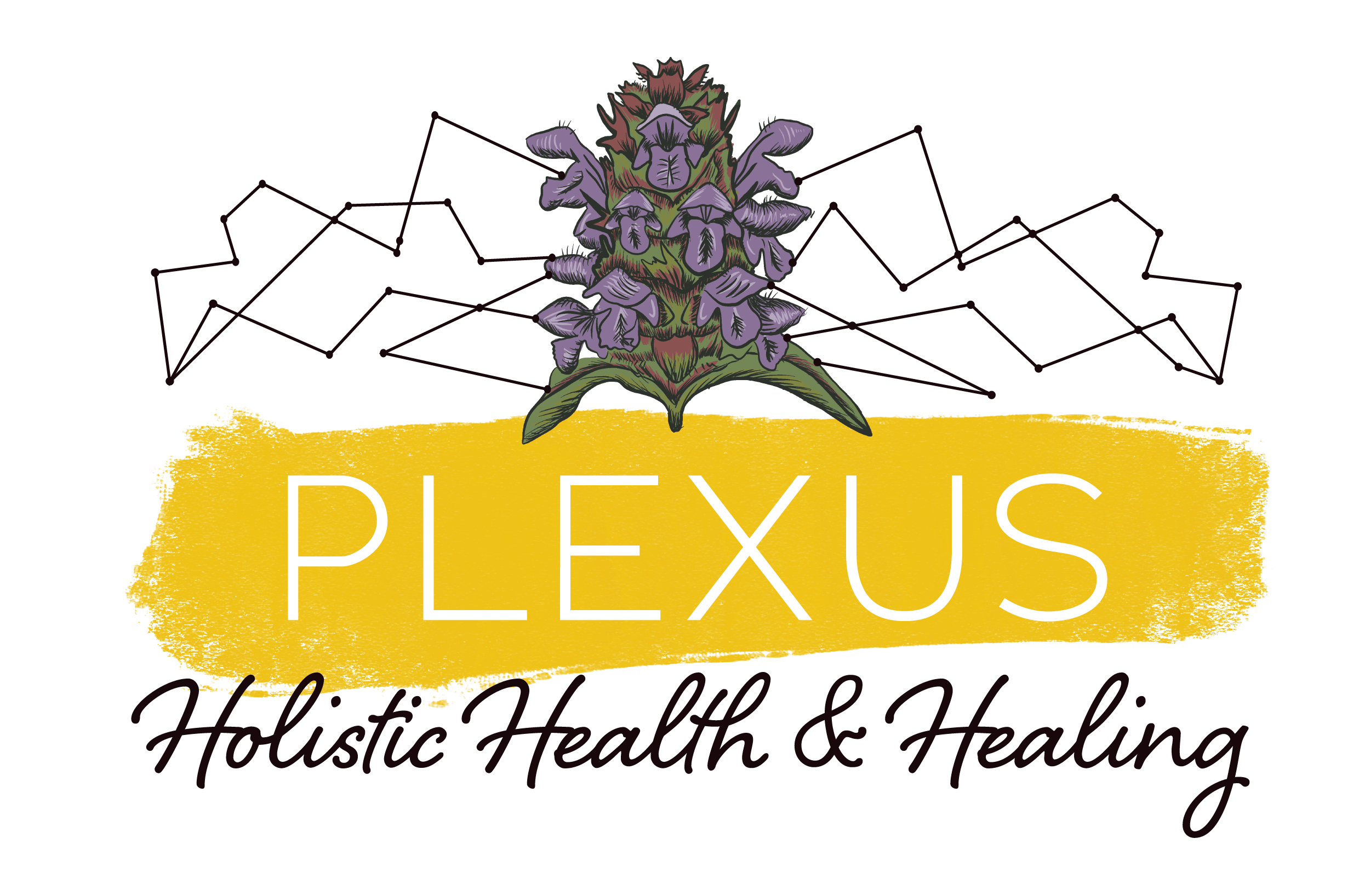 Health Plexus Llc