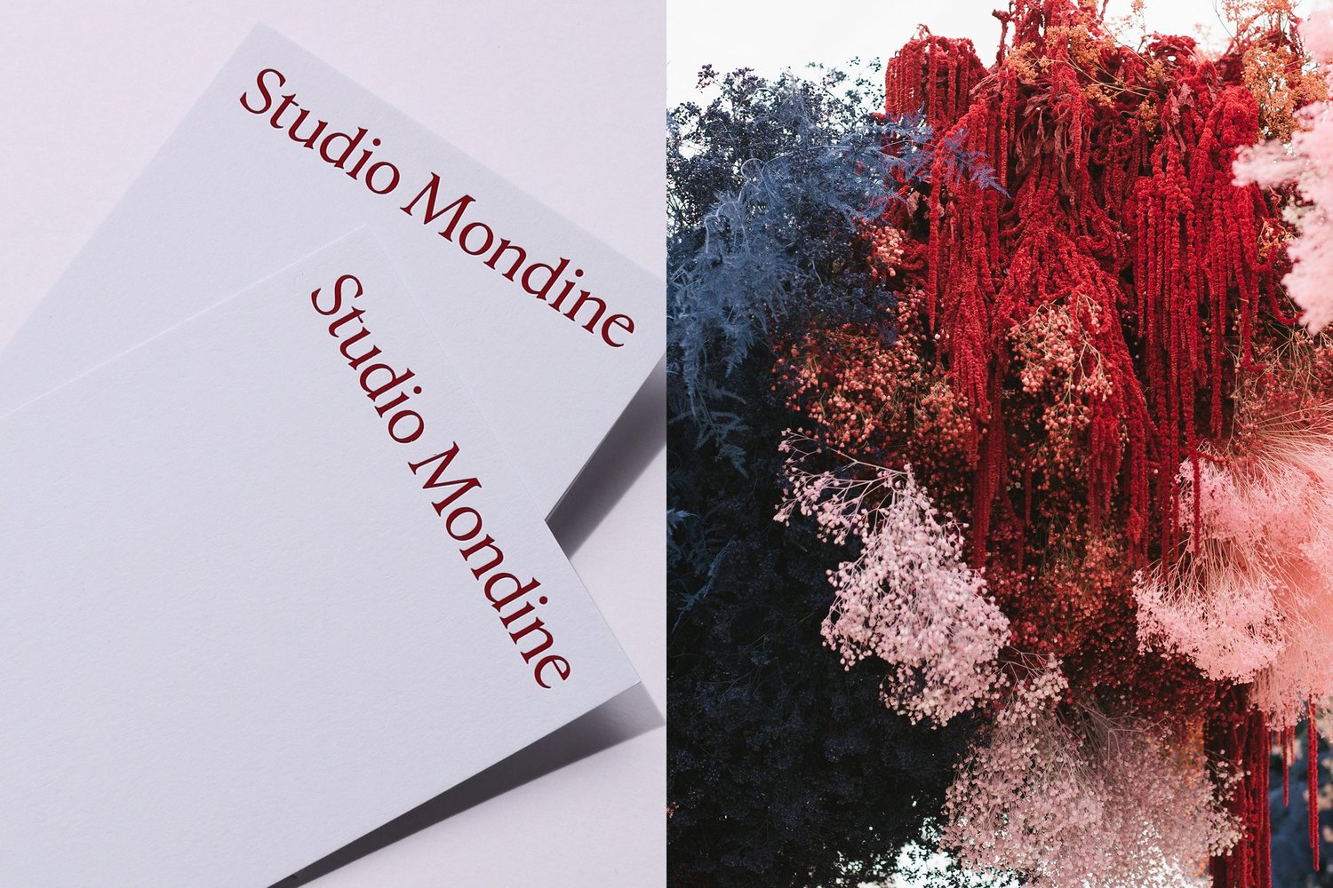 Studio Mondine — Lisa Hedge (Studio)