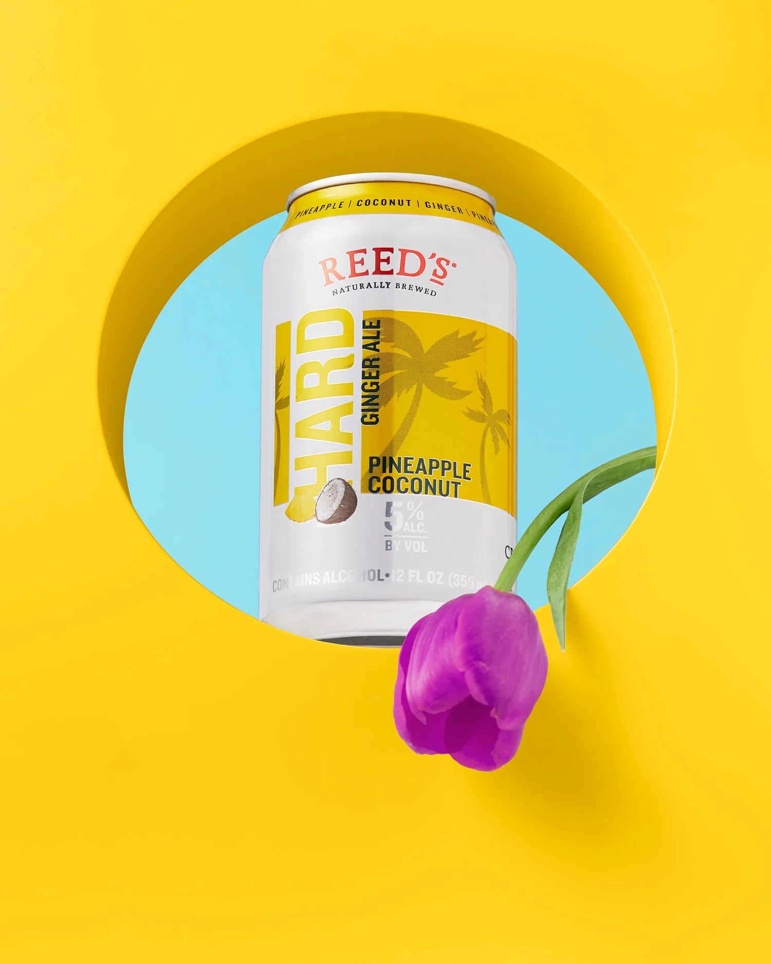 Product Photography — Bry Photo | SF Bay Area Food and Product Photographer