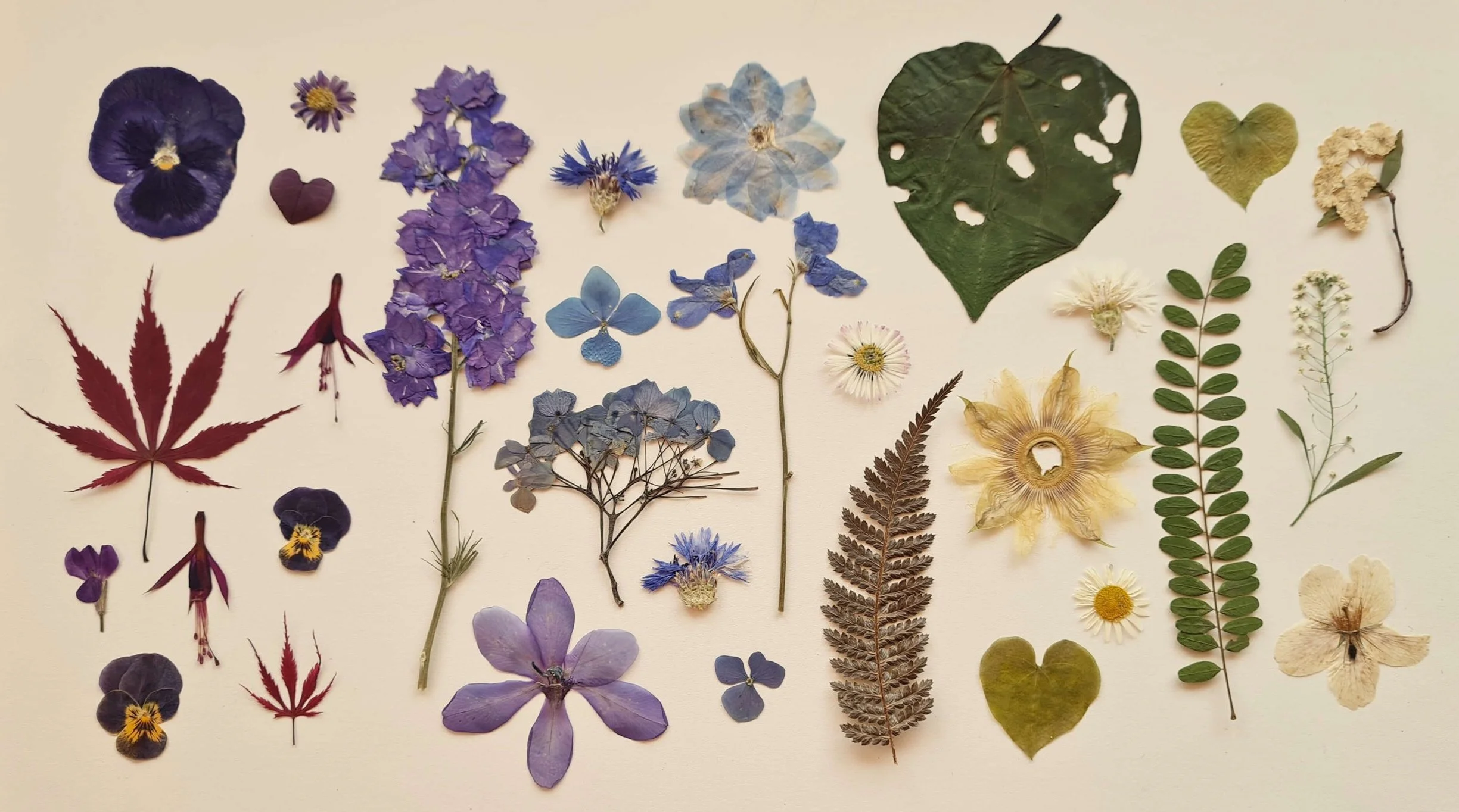 About — Botanical Jewellery | The Third Room