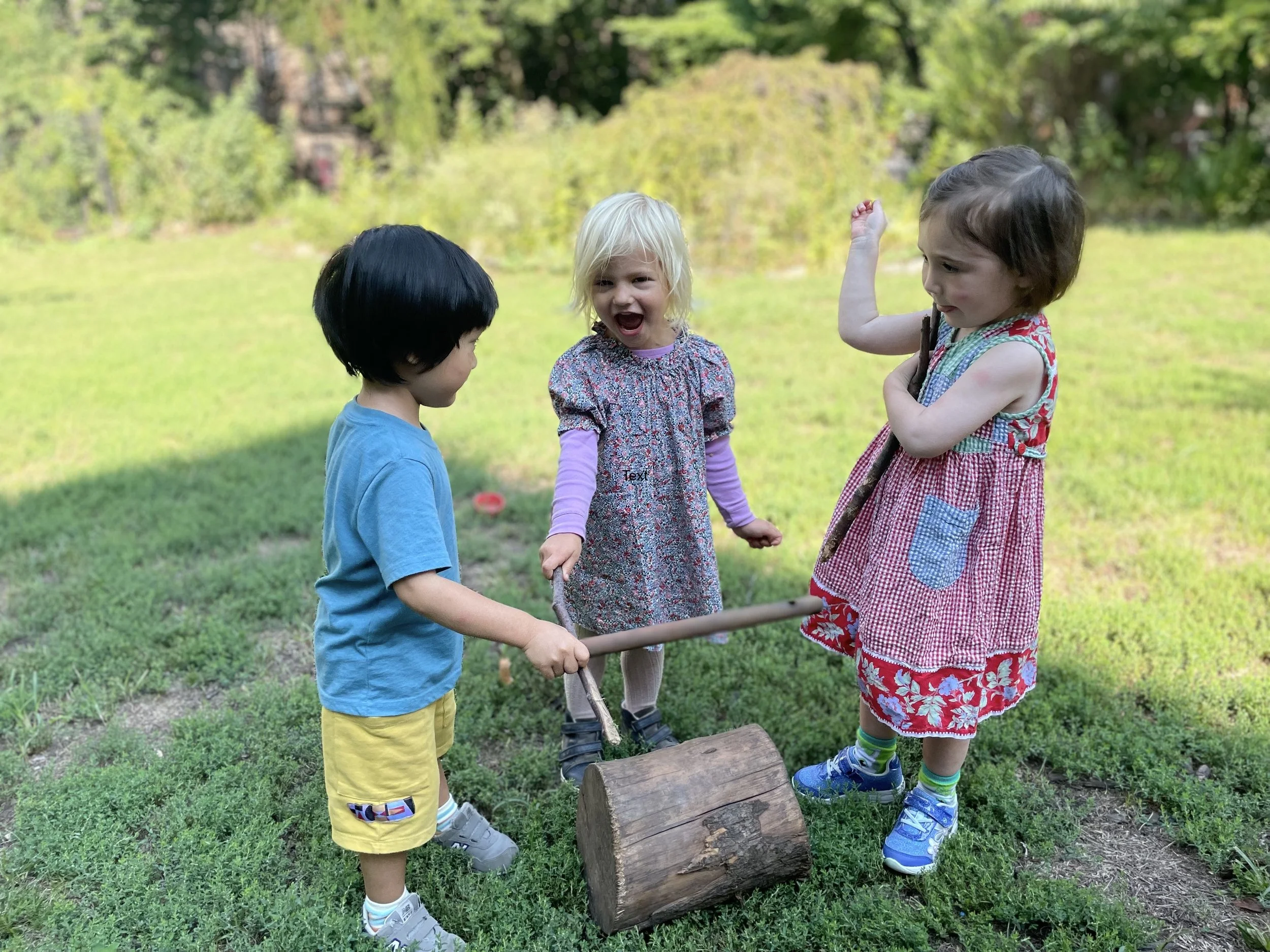 New Amsterdam School - Independent Waldorf School in New York City