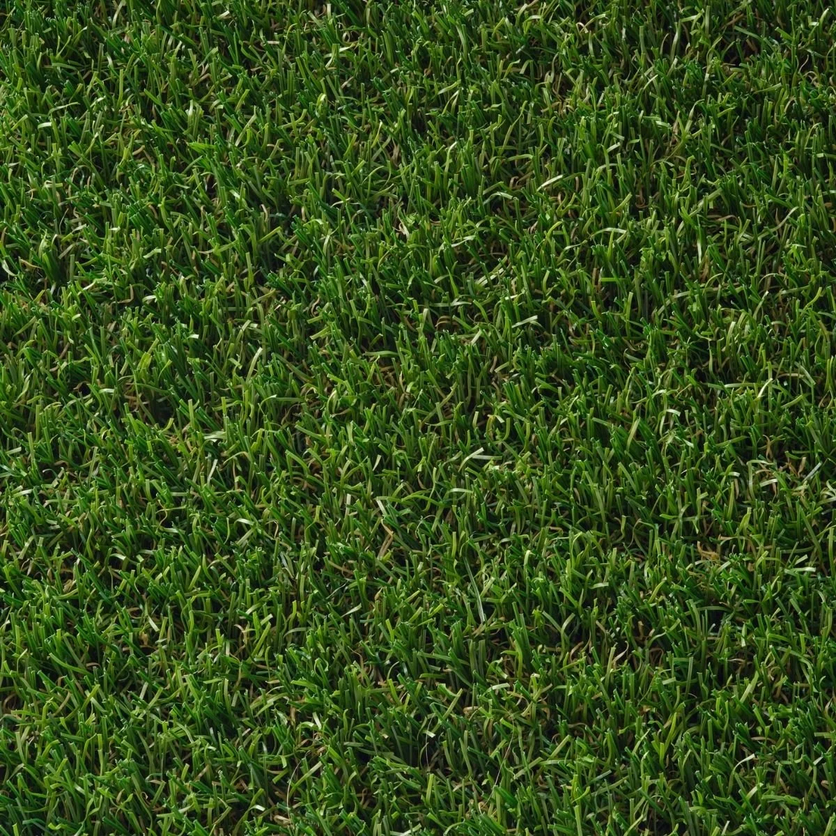 Grassmate Artificial Grass
