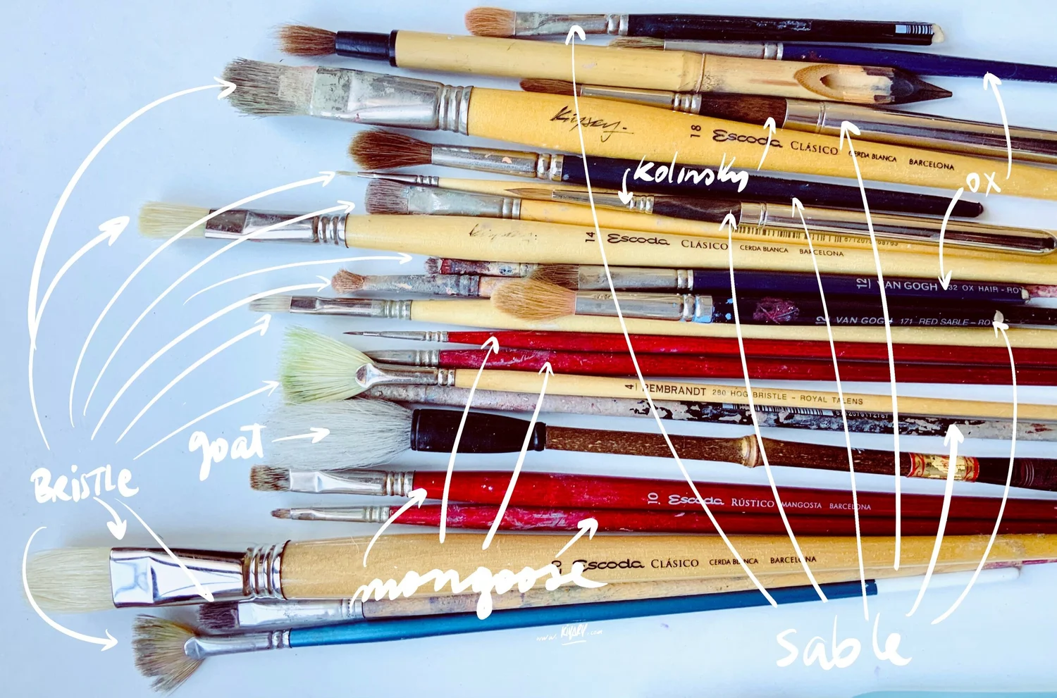 Ultimate Guide to Painting Brushes: Types, Materials, Sizes, and Uses ...