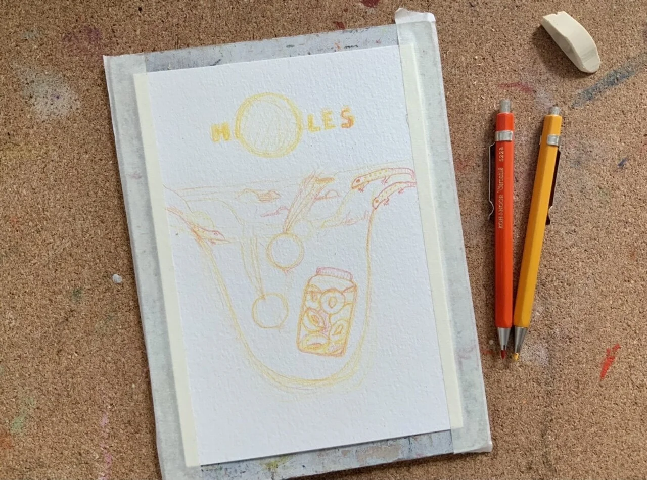 Holes: process behind Designing a book cover. — Kiyary Do: Artist, Oil ...