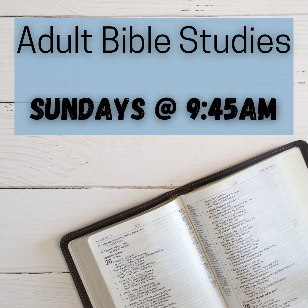 Adult Ministry — University Baptist Church-CH