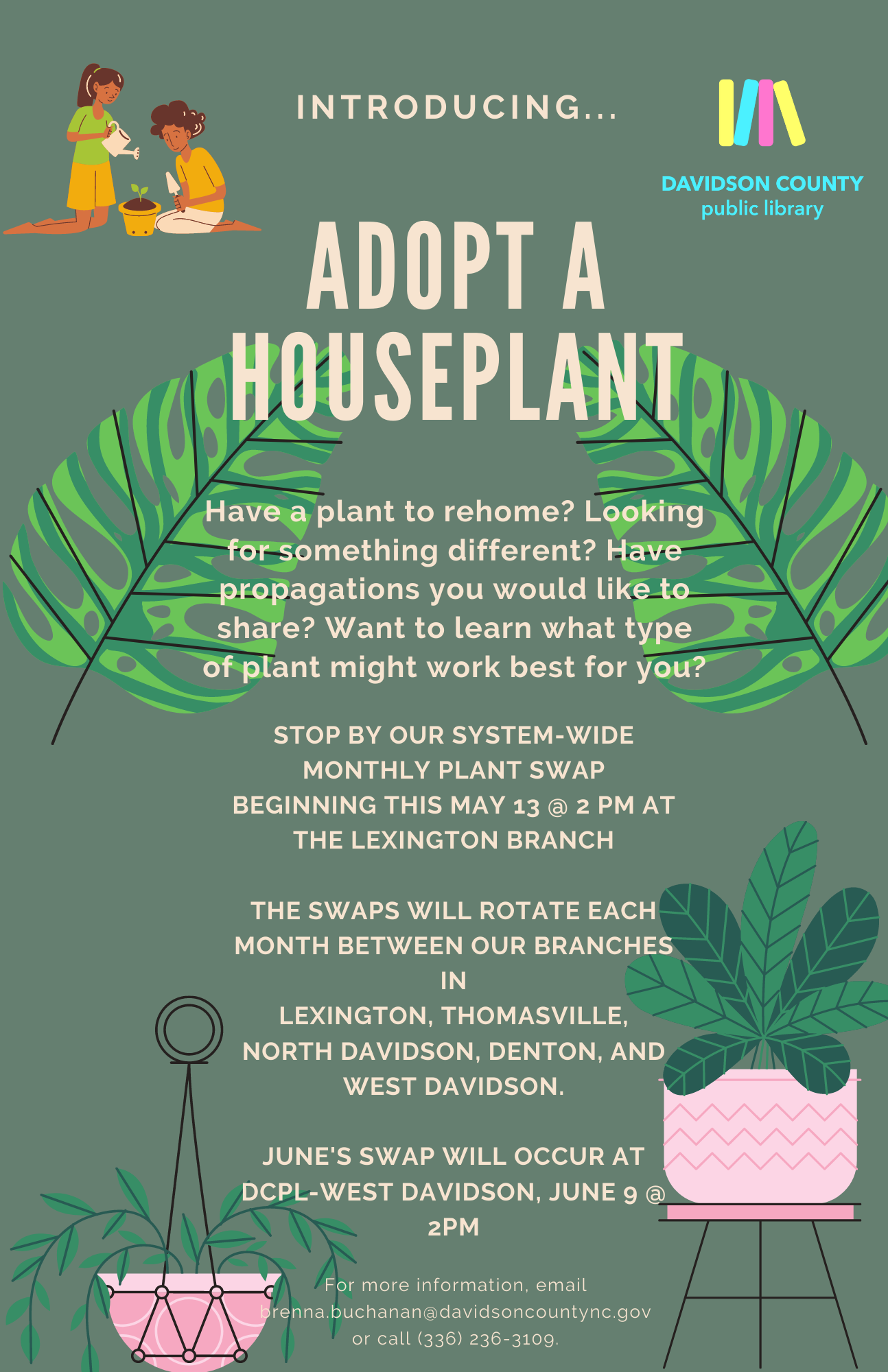Interested in adopting a houseplant? — DavidsonLocal.com