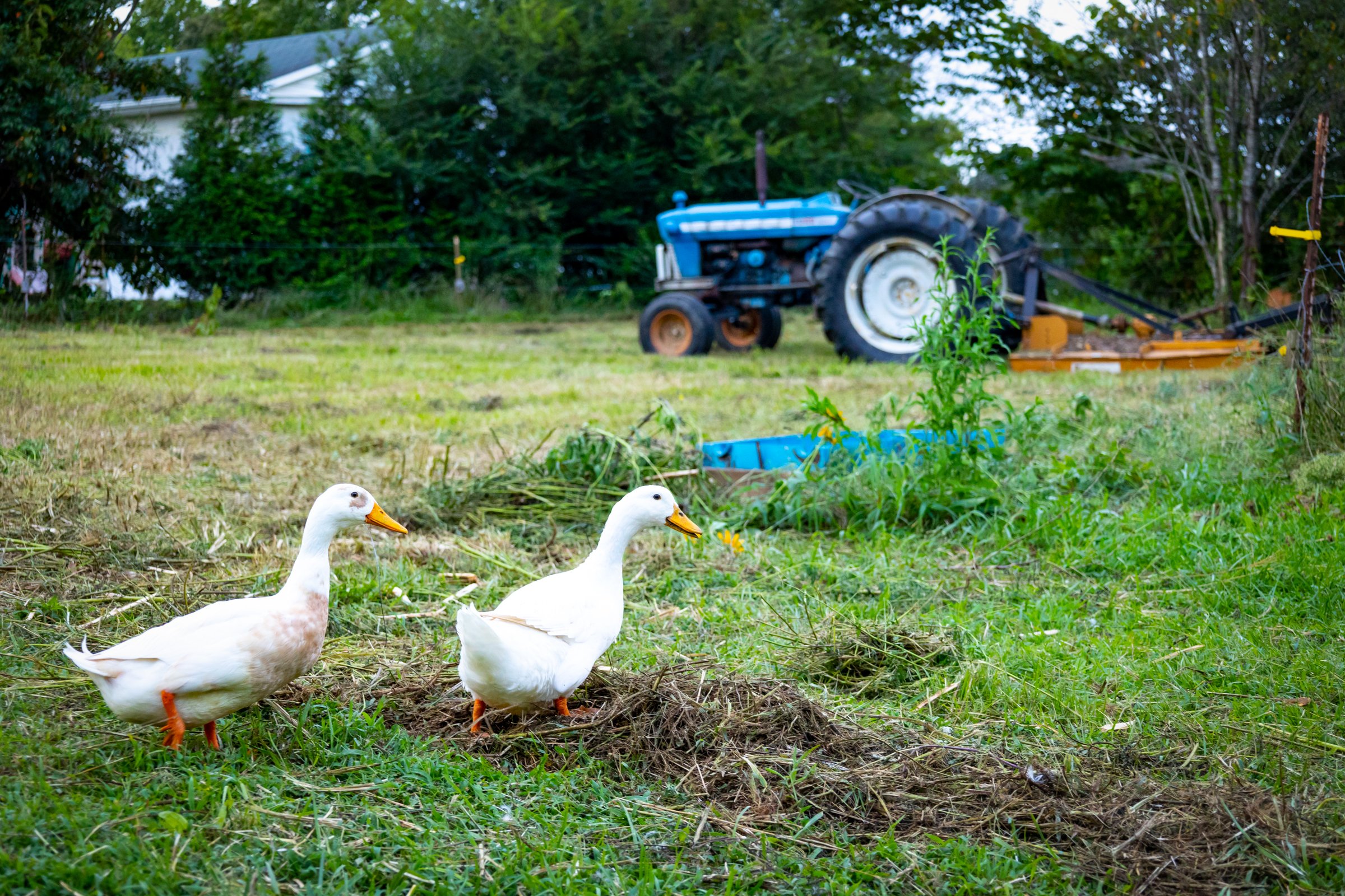 Know your Farmers: Leonard Farm offers naturally grown food ...