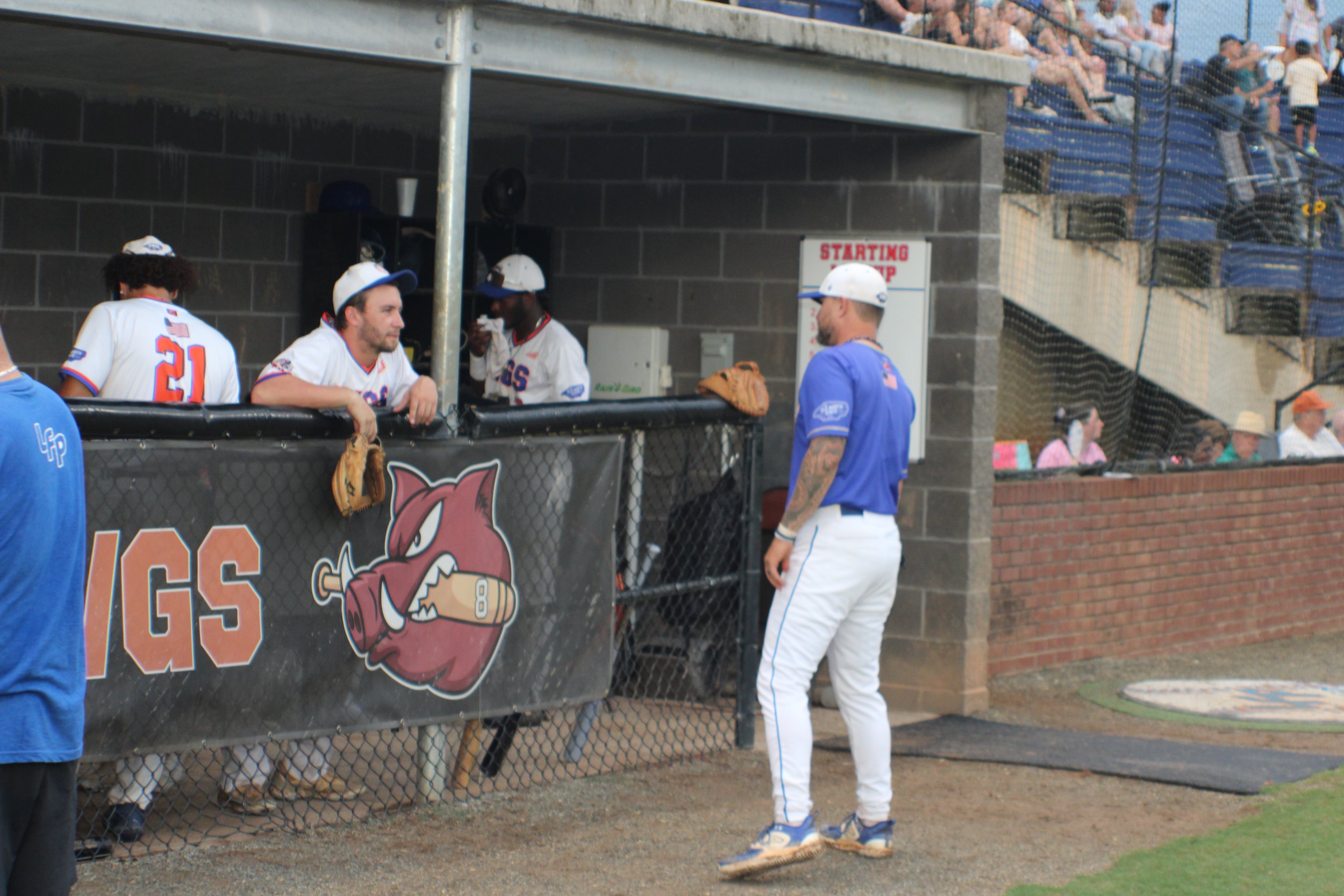 The Lexington Flying Pigs: A Season for the Ages — DavidsonLocal.com