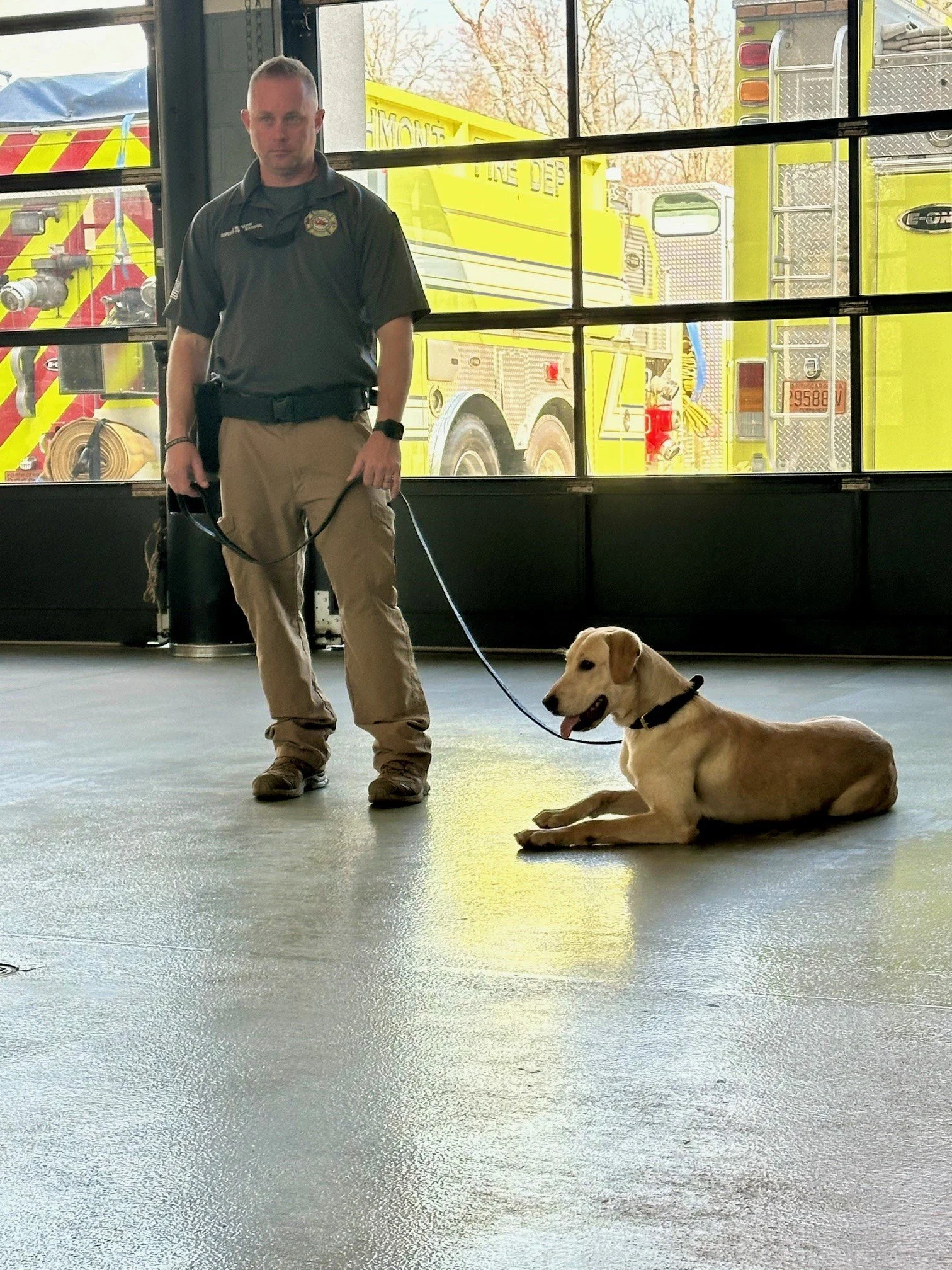 Meet Davidson County’s new Fire Marshal K-9 Boone — DavidsonLocal.com