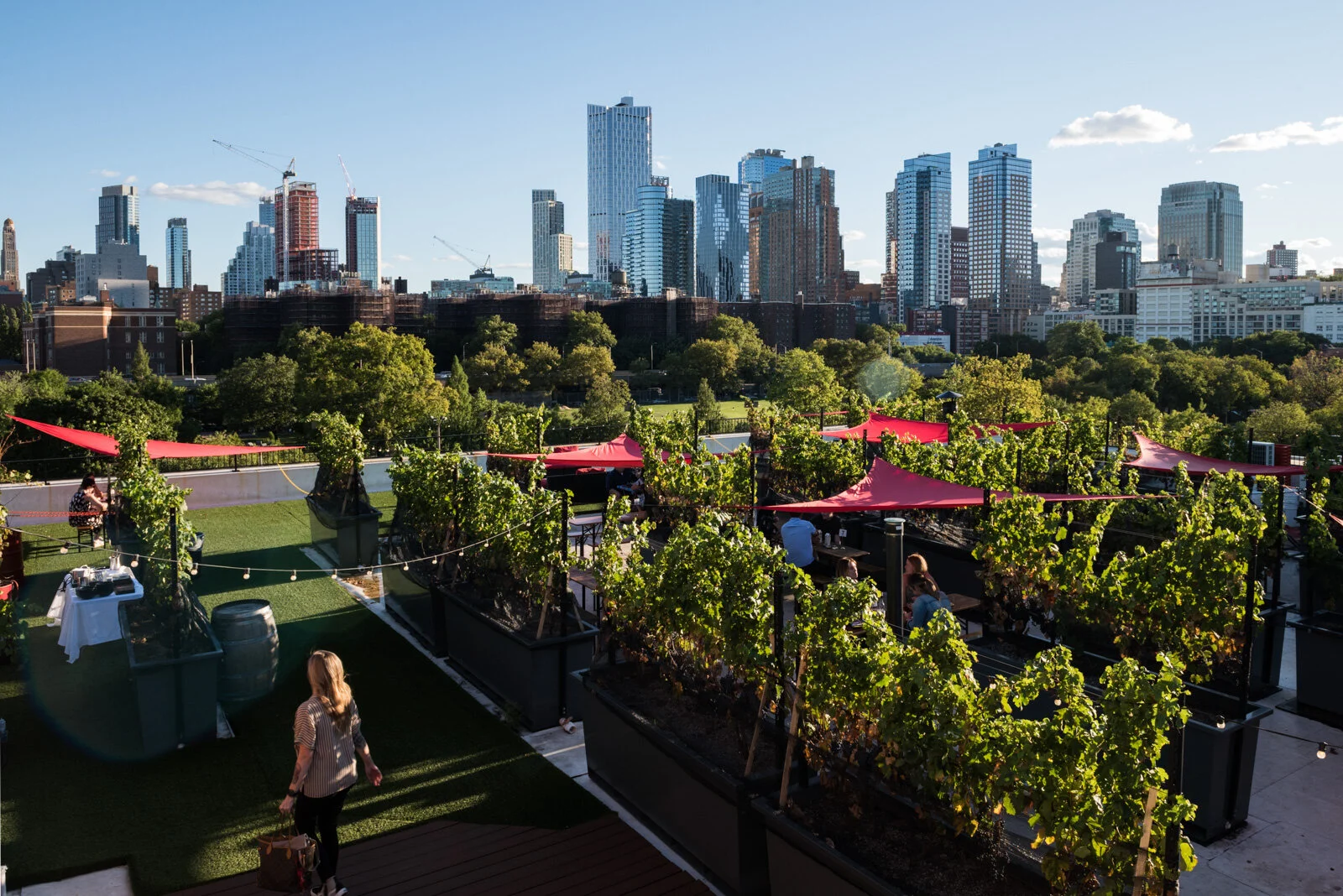 Rooftop Reds Brooklyn Vineyard — Rooftop Reds