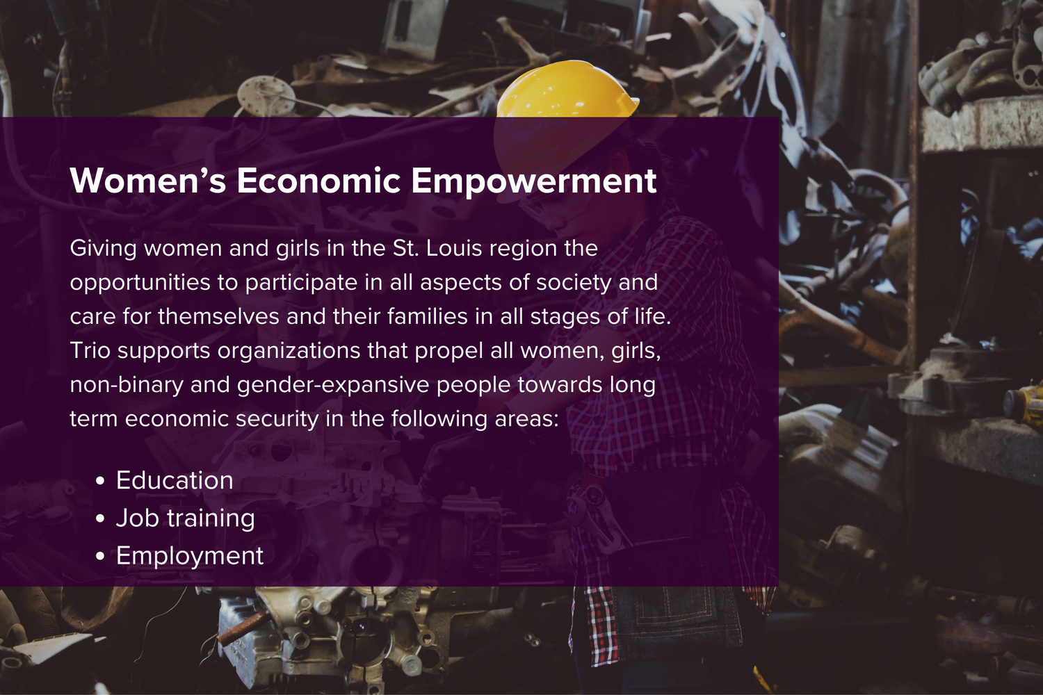 Our Focus Areas — Trio Foundation of St. Louis