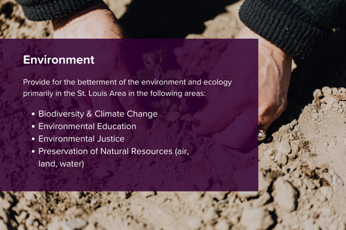 Our Focus Areas — Trio Foundation of St. Louis