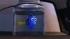 Finding Dory — Pixar Animation Studios