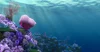 Finding Nemo — Pixar Animation Studios