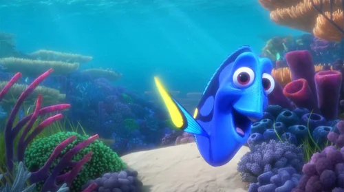 Dorys Reef Cam — Pixar Animation Studios