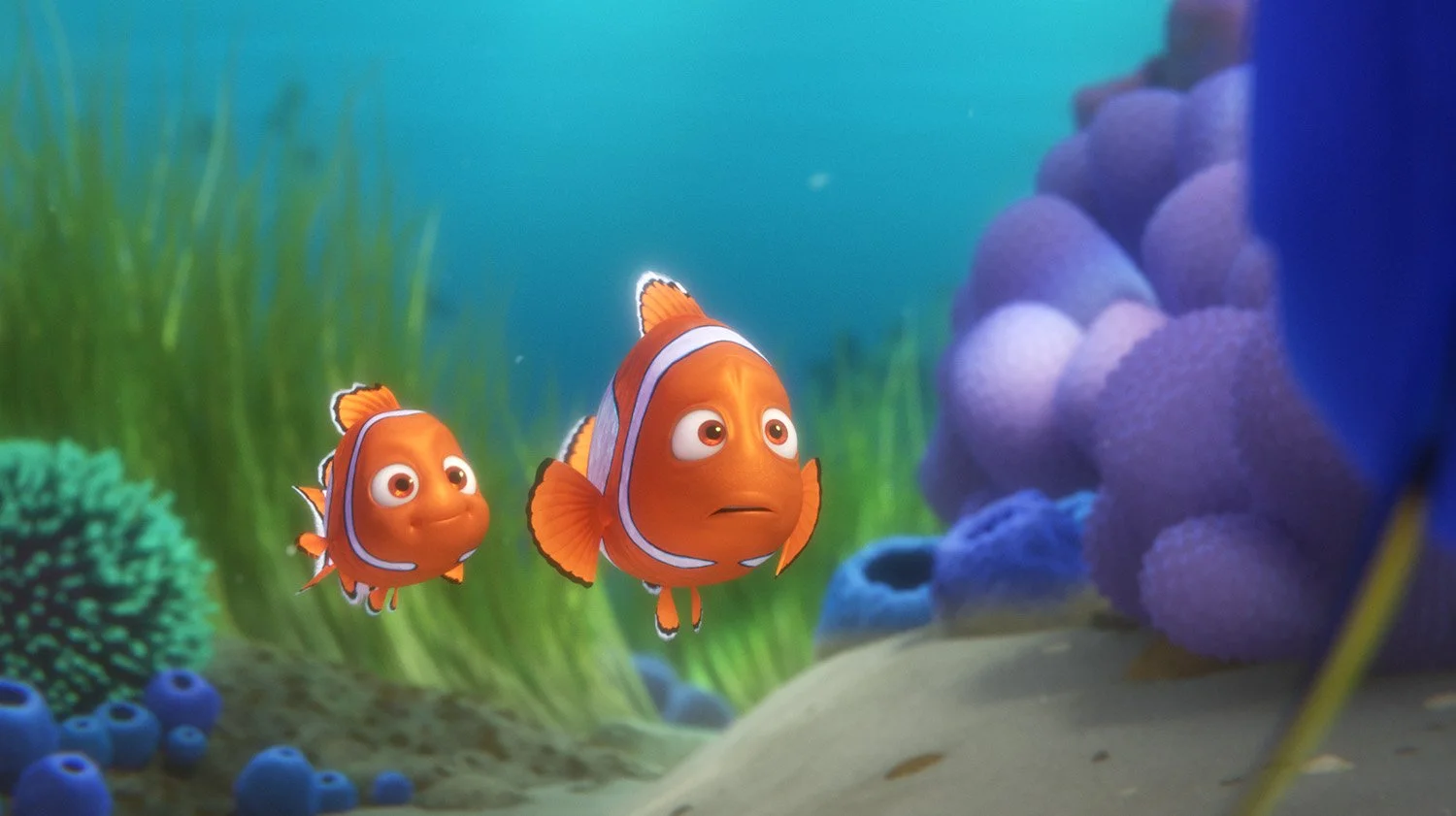 Finding Dory — Pixar Animation Studios