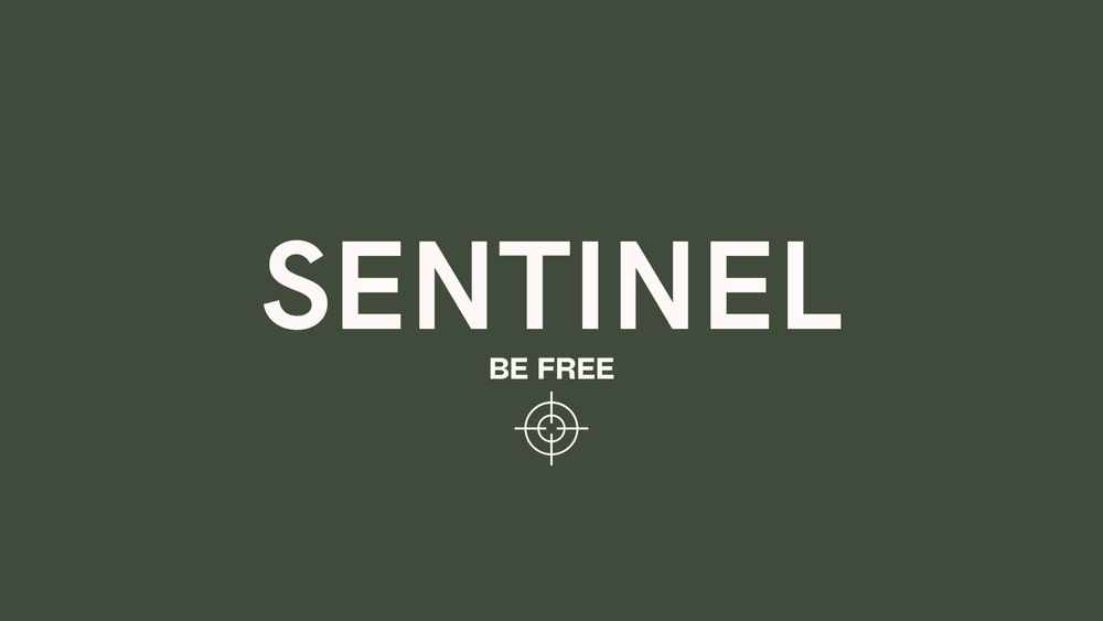 Sentinel — Motion