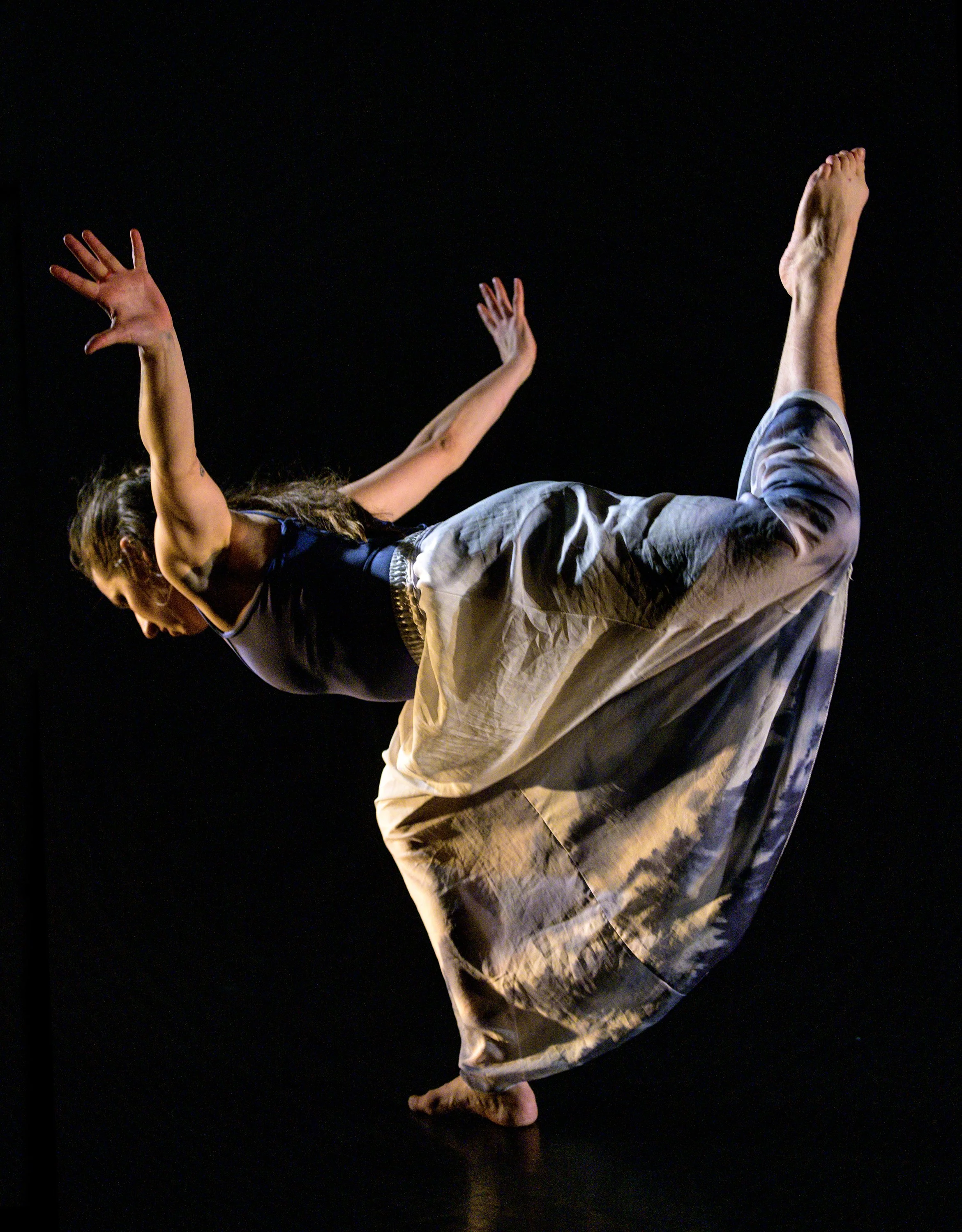 Residency Alumni — Dance West Network