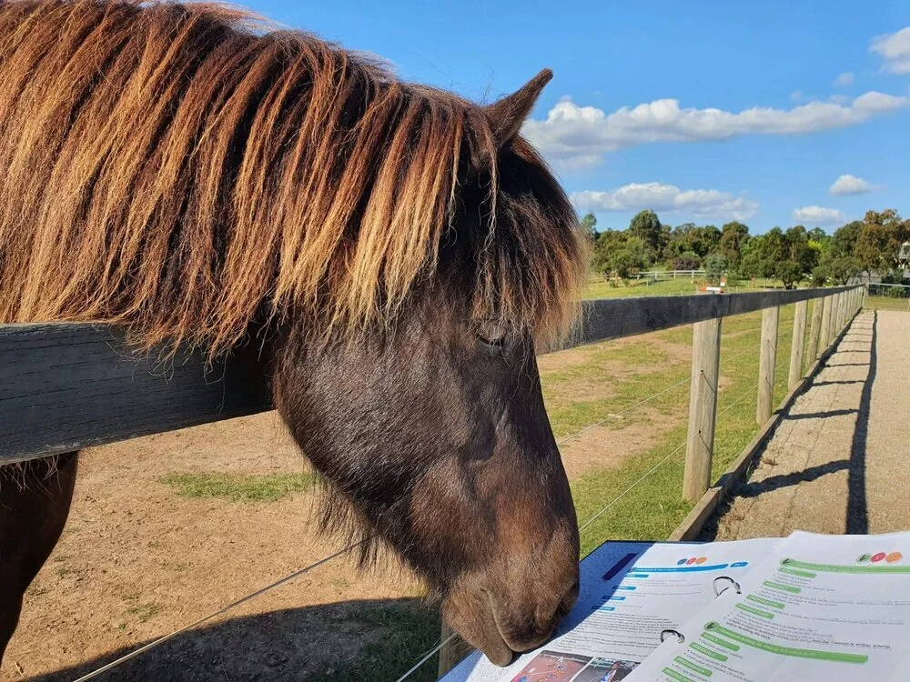 General 2 — Horse Powered Reading