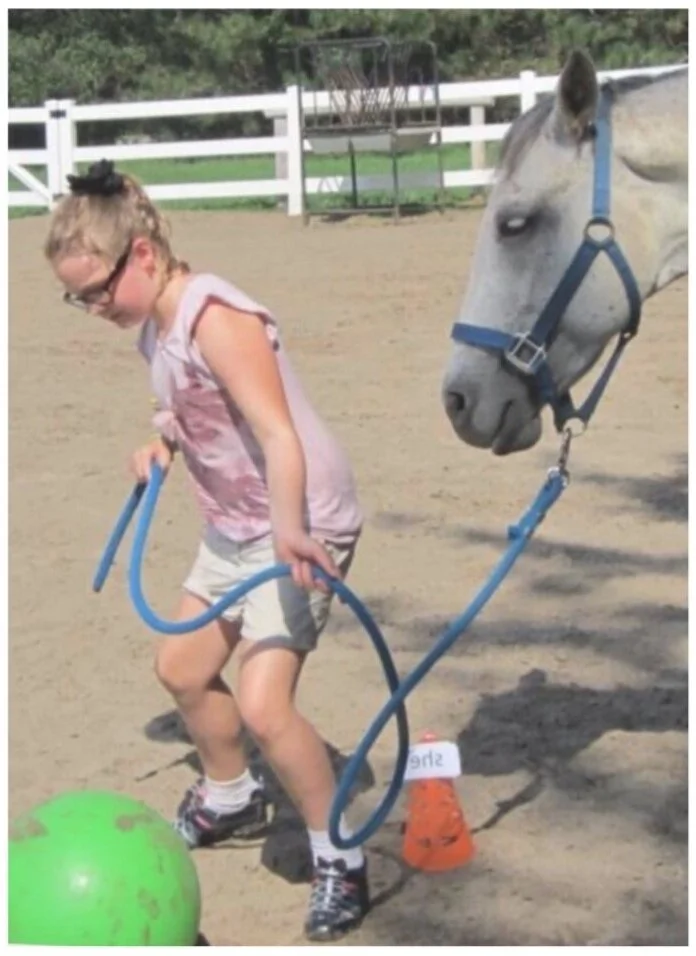 General 1 — Horse Powered Reading