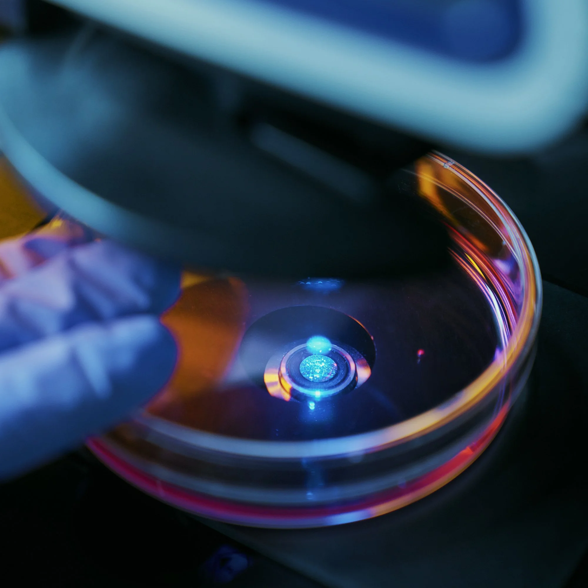 ViroCell Biologics