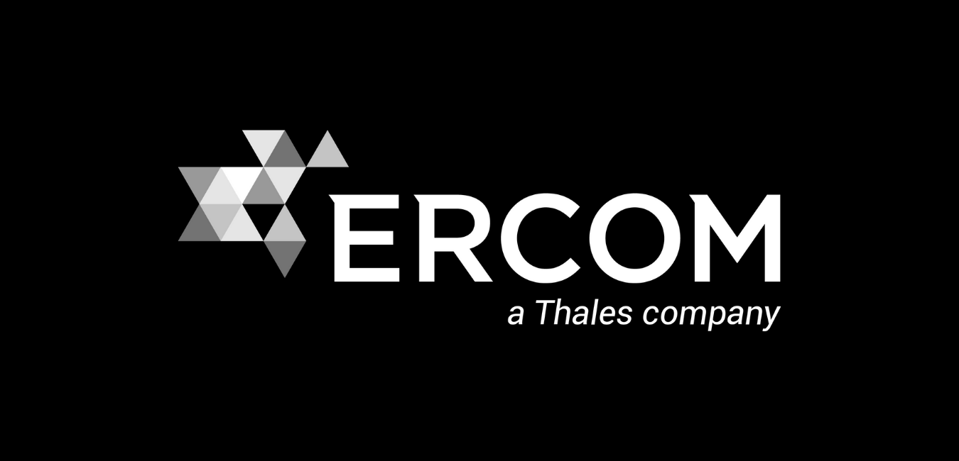 RYSE - Defense | Intelligence | Homeland Security