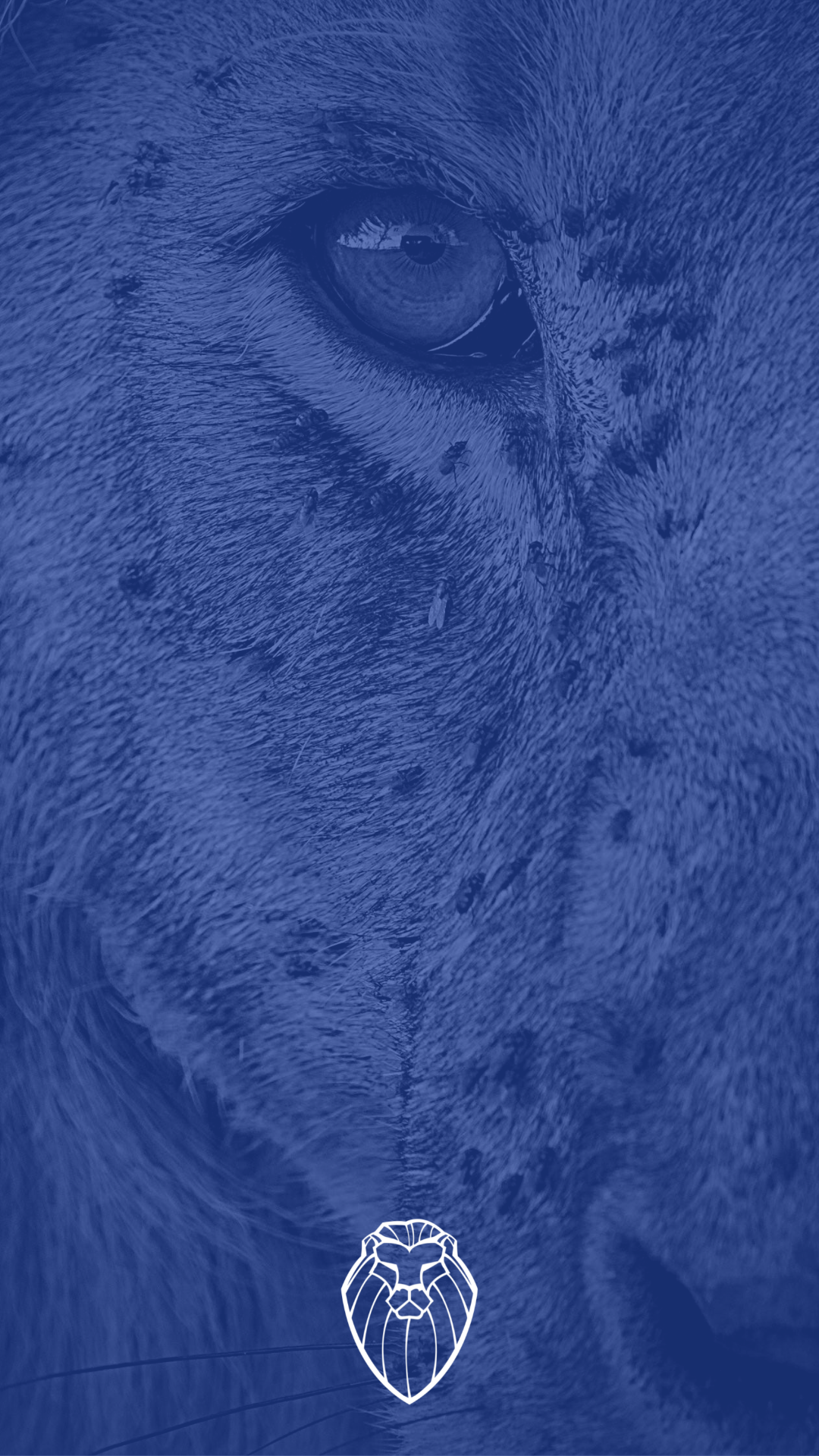 WALLPAPERS — UNDAUNTED.LIFE