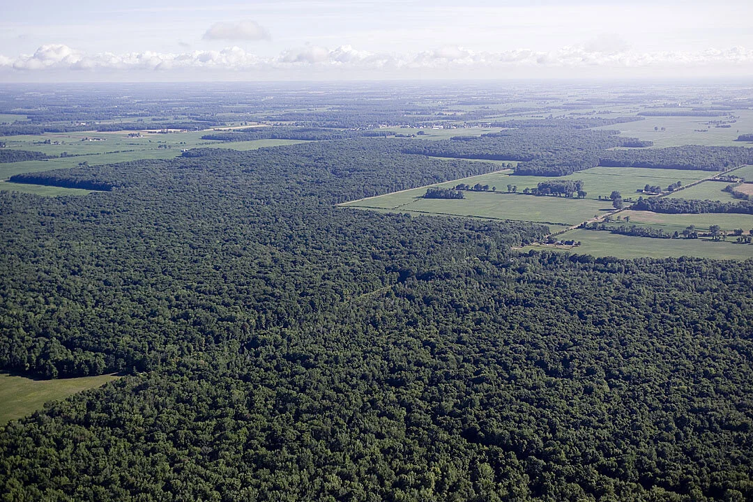 Nature-Based Services