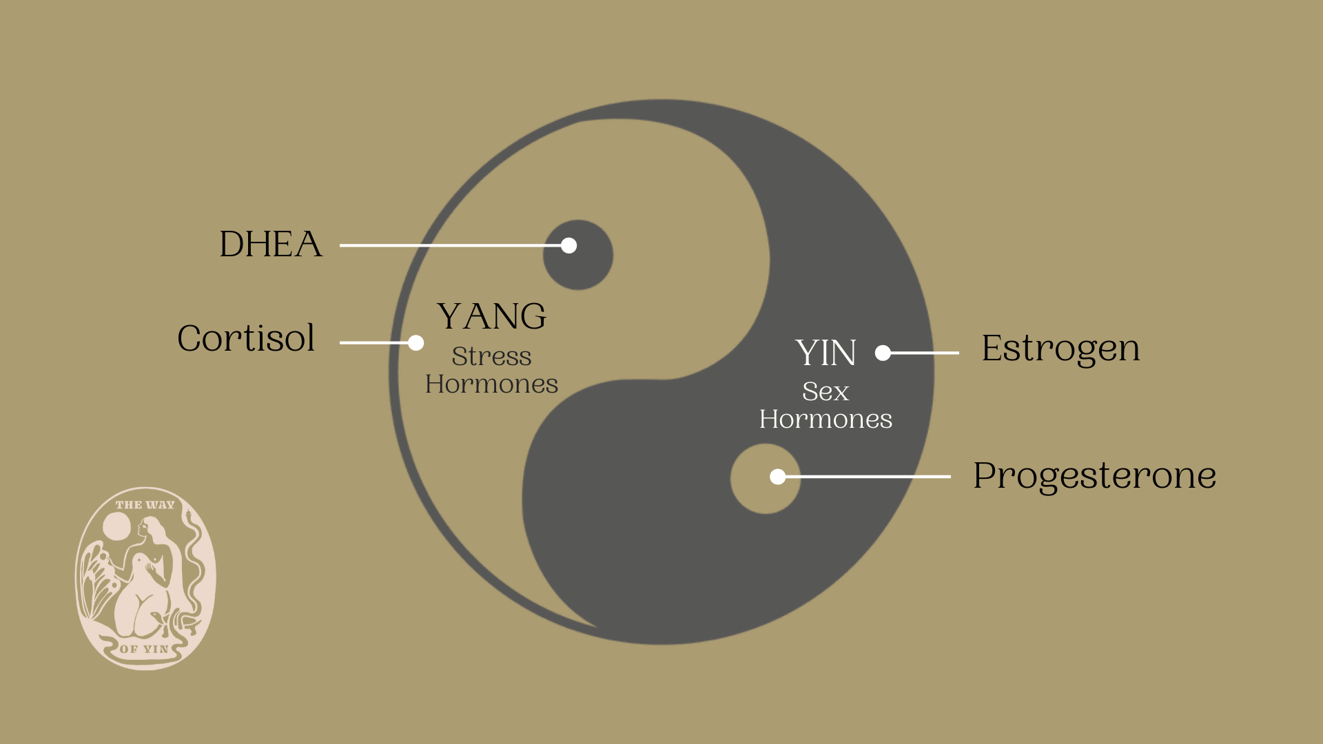 Acupressure 101 - A How to Guide — The Way of Yin