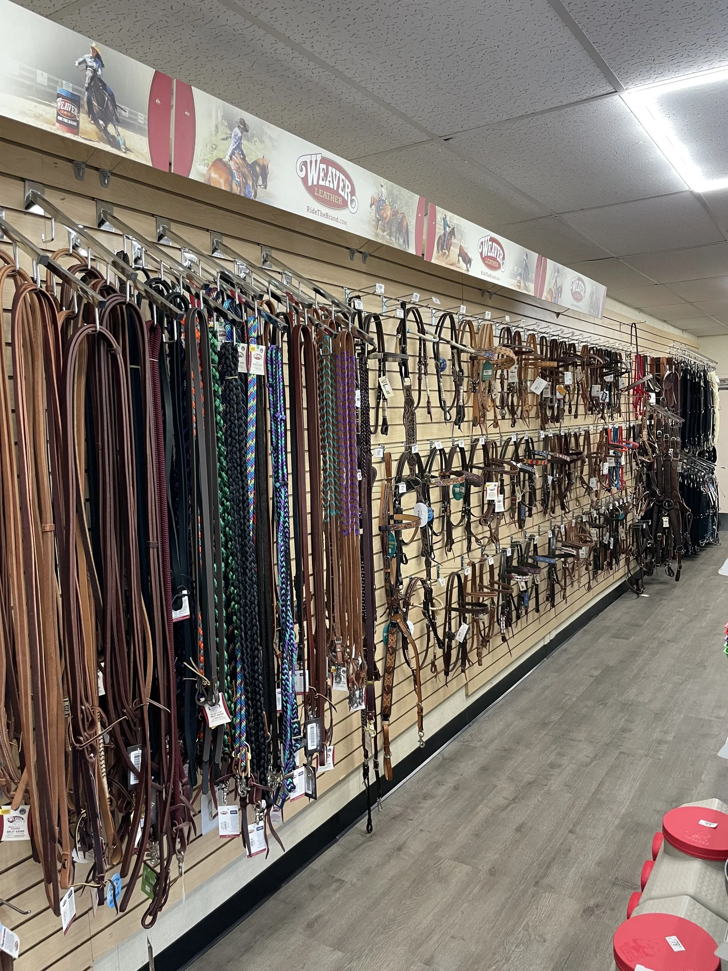 Equine — Southwest Feed