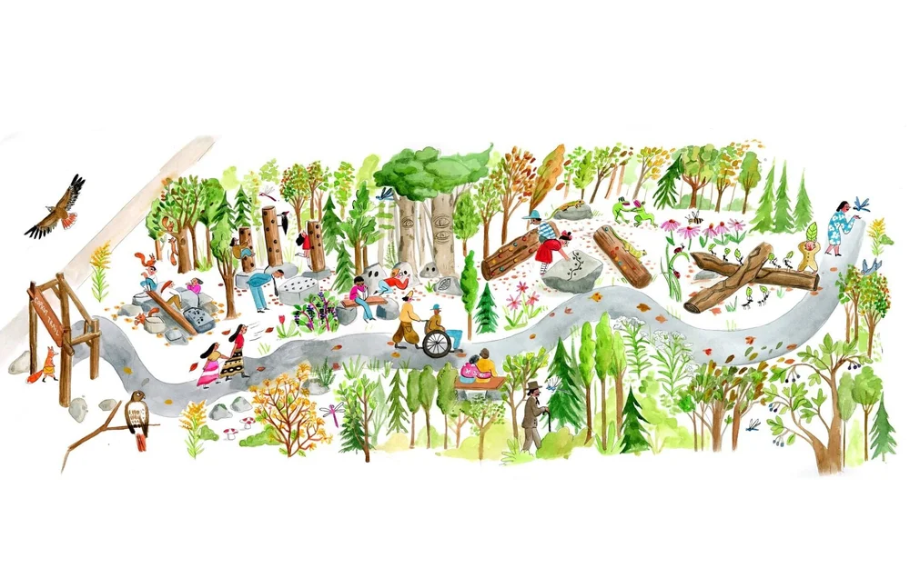 Copicut: The Big Woods — BSLA Fieldbook