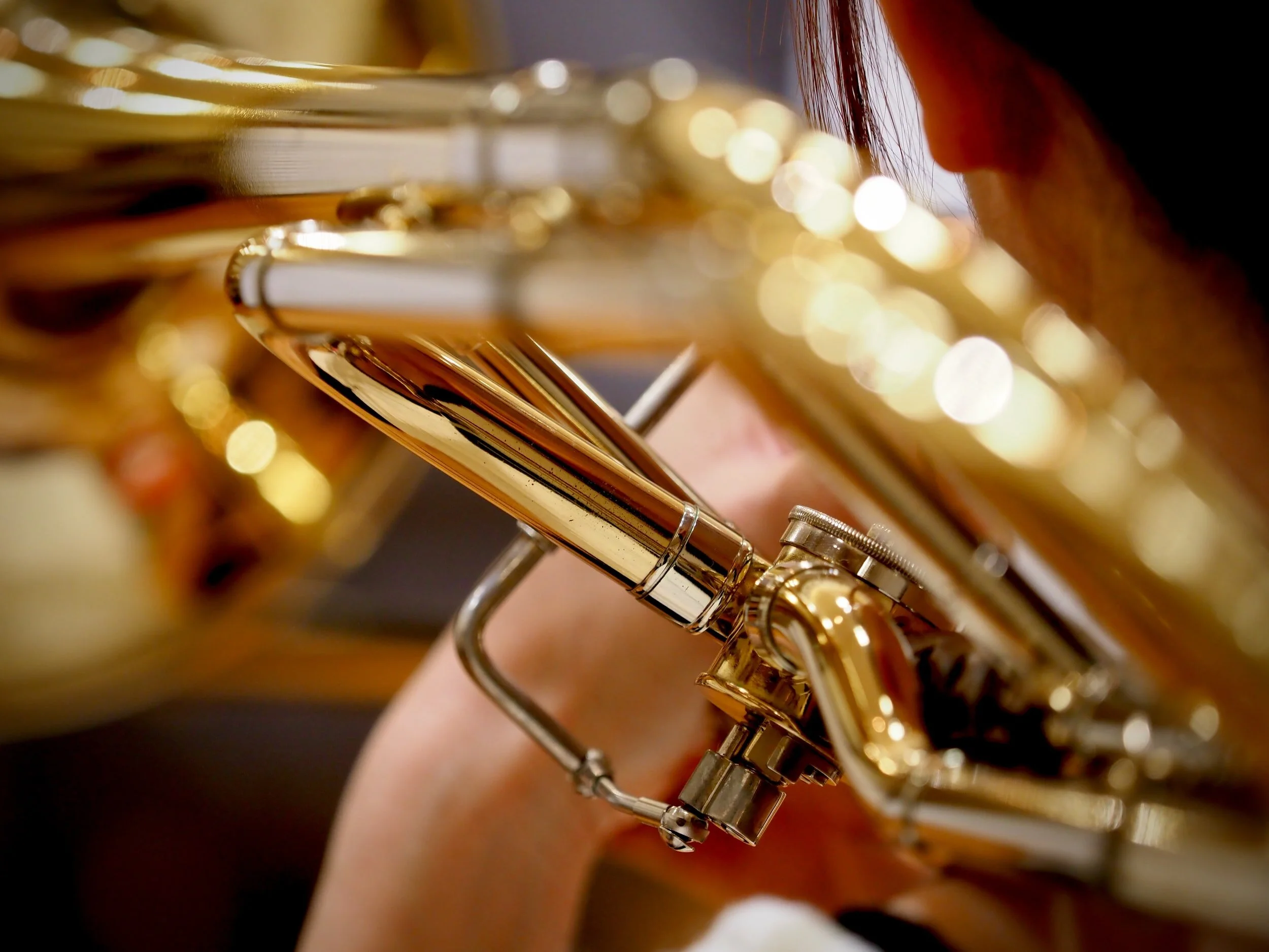 Rentals | Rent Instruments Today — Clarizio Music Center