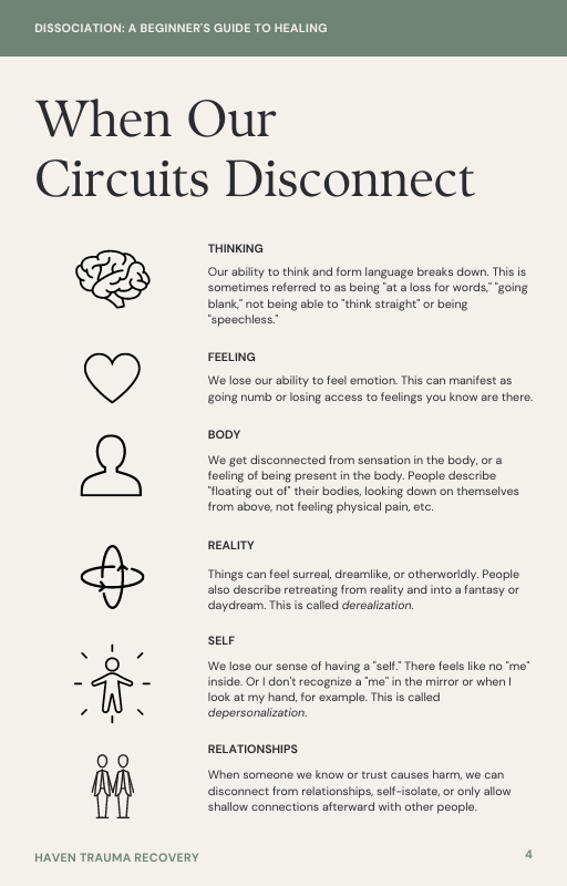 Dissociation: A Beginner's Guide — Haven Trauma Recovery