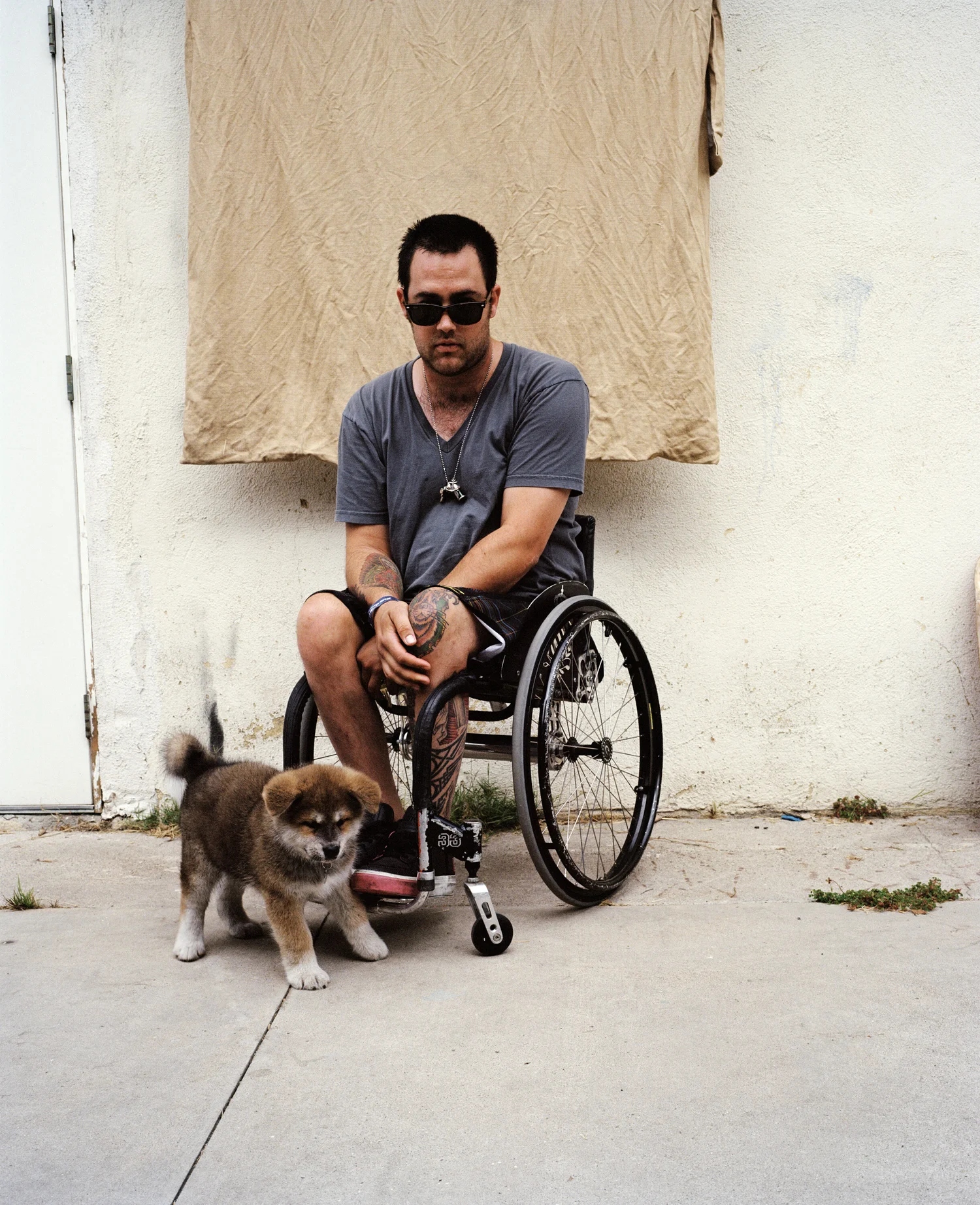 Gallery 3 — OLLIE GROVE