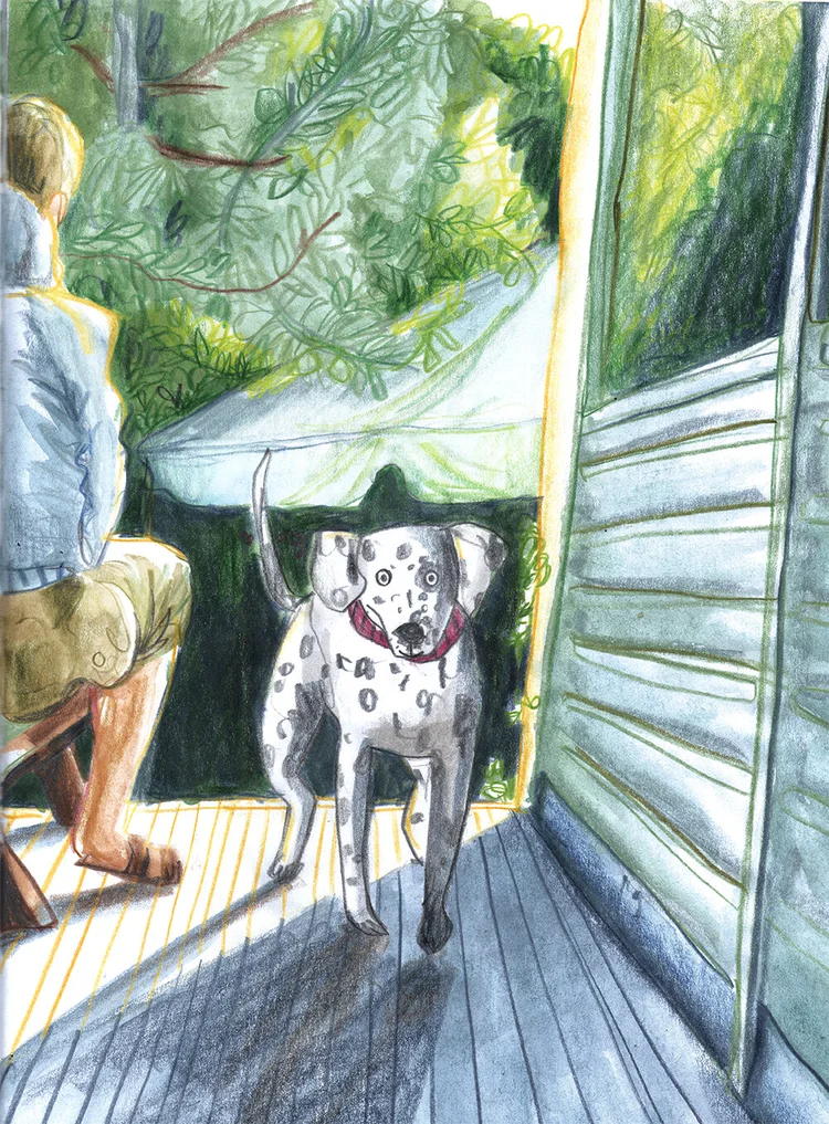 Sketchbook — Alice McKinley Illustration