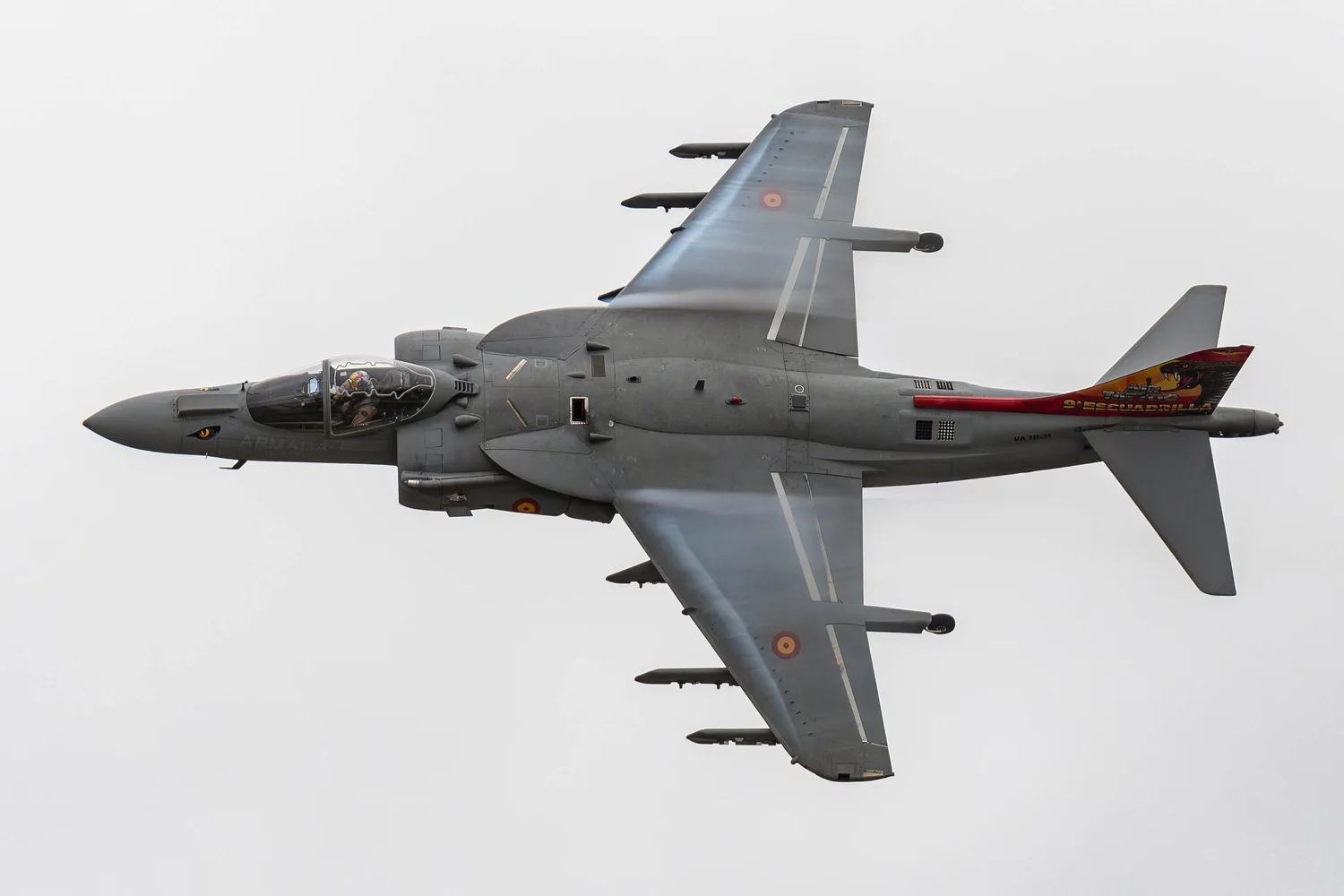 Spanish Navy Harrier Solo Display | McDonnell Douglas AV-8B+ Harrier II ...