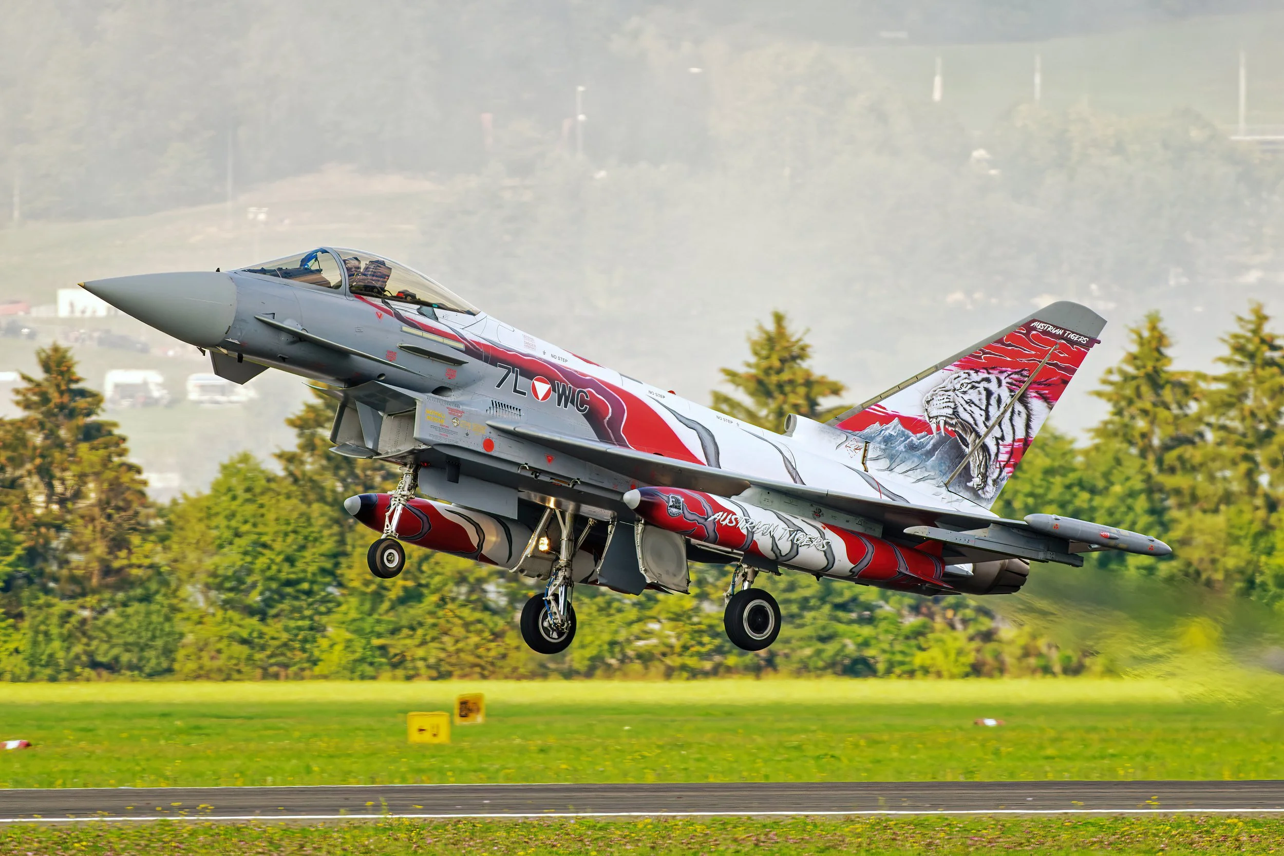 Austrian Air Force Eurofighter Display Team | Eurofighter Typhoon ...