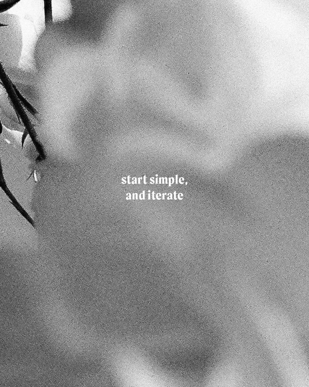 Bright Matters Studio | Squarespace Websites and Templates